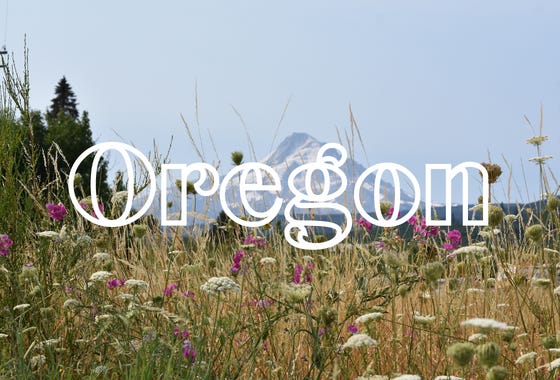 Oregon's 2024 Bucket List - by Bess Corriveau