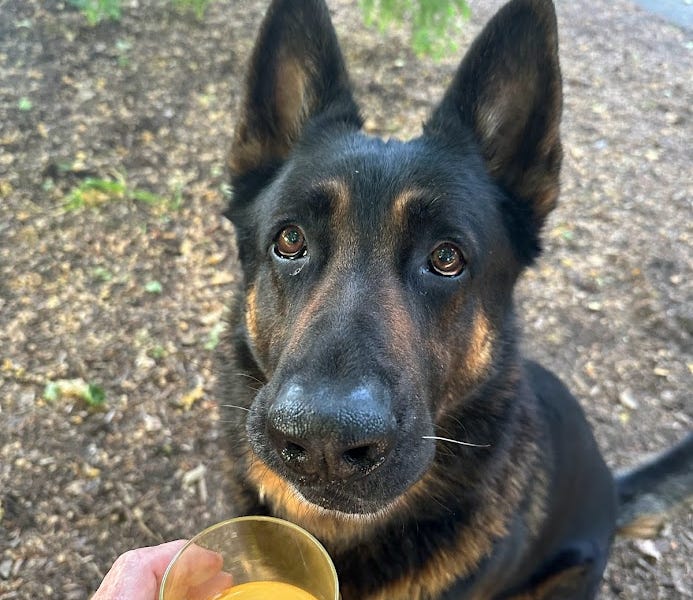 Letter from Milwaukee, Day Two - by Charlie Sykes