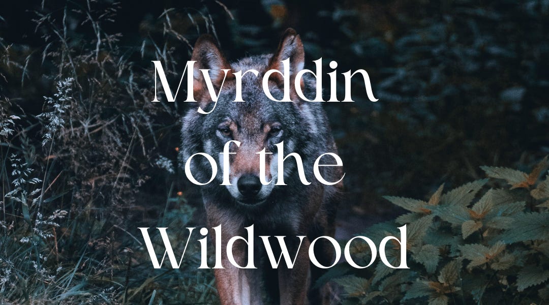 Episode 5: Myrddin of the Wildwood Part 2