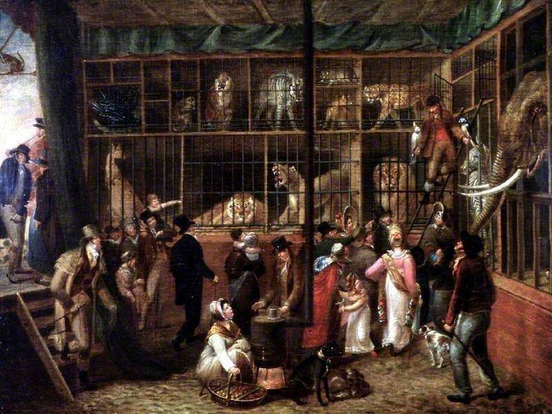 Sobre os Animais em Cativeiro - San's Anthology