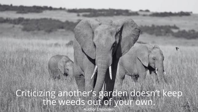 🌞 10 October 2024 - by Bess Corriveau - Morning Motivation