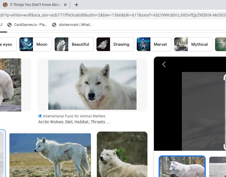 TIME TO GROW A PAIR - by Timber Wolf - Timber’s Substack