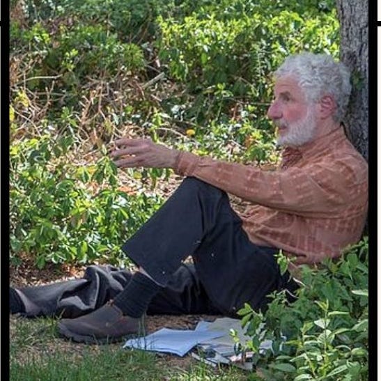 How Israeli “Jim Crow” Molds the United States: the Boomerang of Anti ...