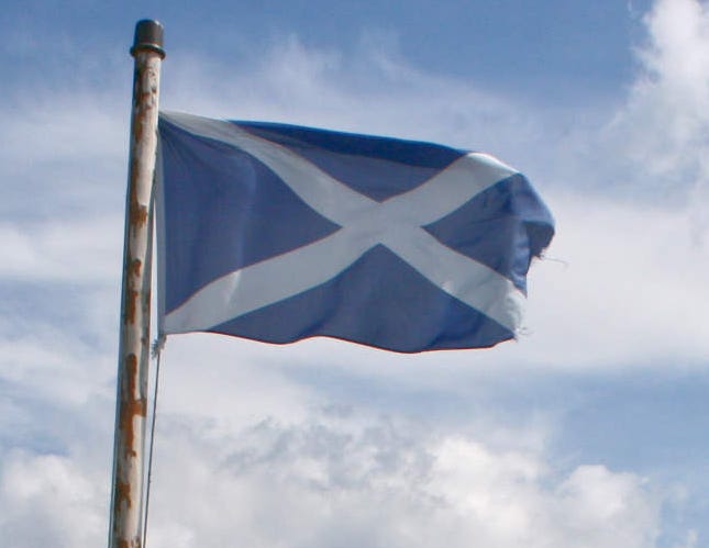 The Scot who discovered antibiotics