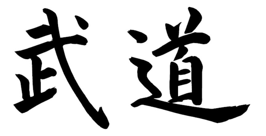 Budo Is Optimal - Peter Boylan