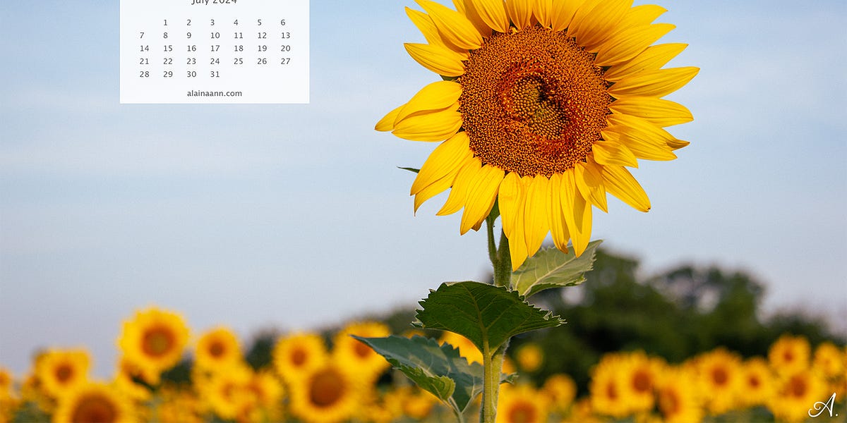 July 2024 - Alaina Ann