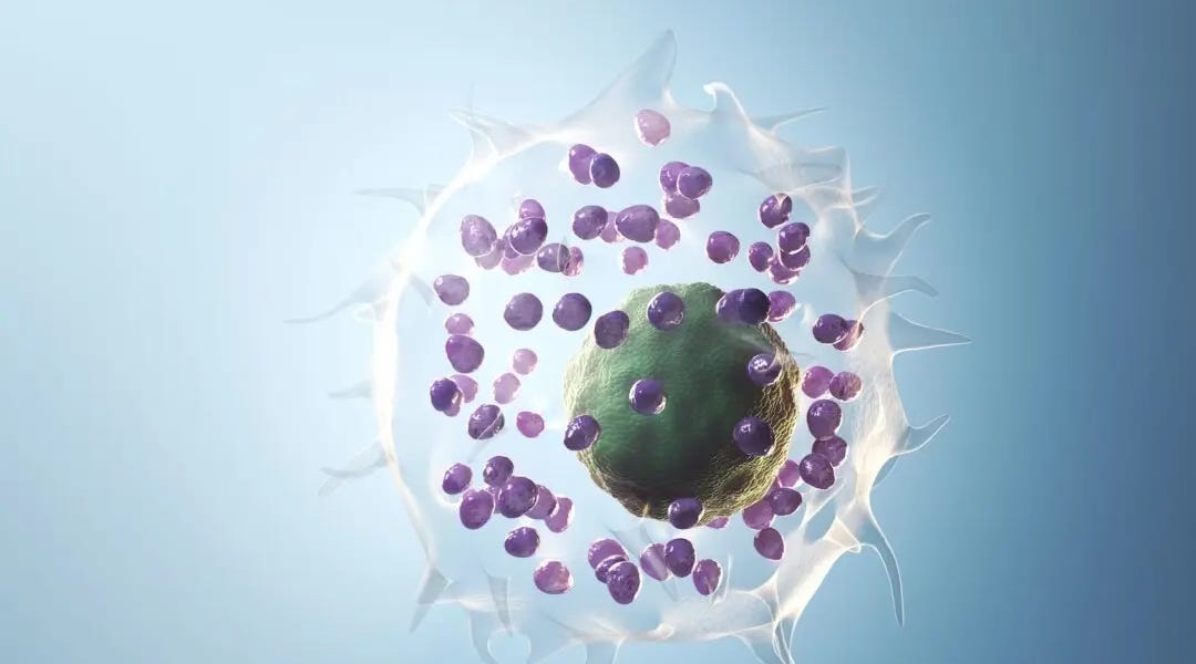 New England Journal of Medicine: estudo confirma que promotor viral com ...