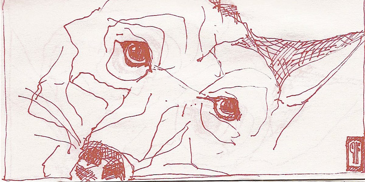 Coyote - Peter Frantz-A Mythology of My Own Making