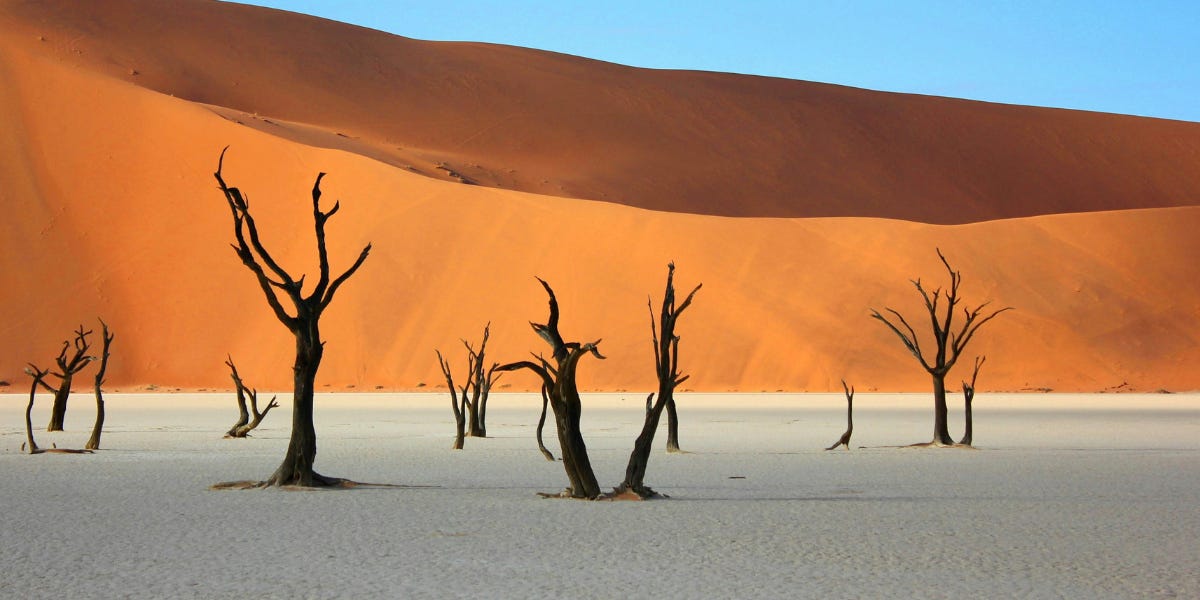The Namib Desert - by Cocovan - Dented Armour