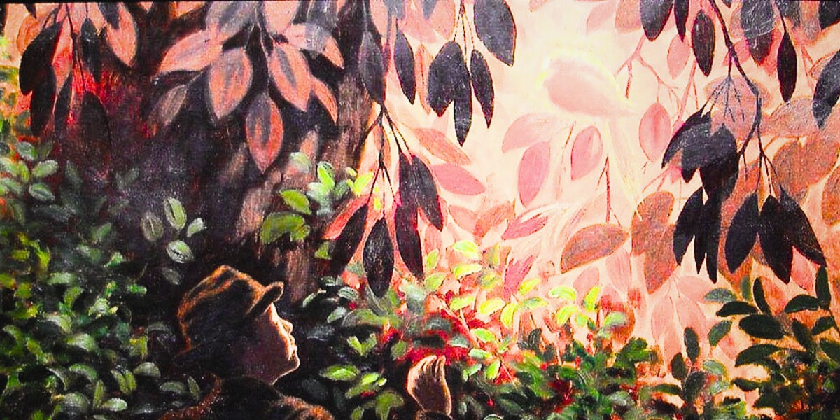 Tangled in Inspiration - by Sam Ballantyne