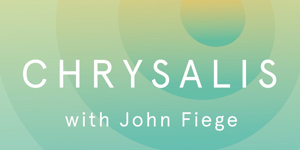 17. Allison Adelle Hedge Coke — "When the Animals Leave this Place"