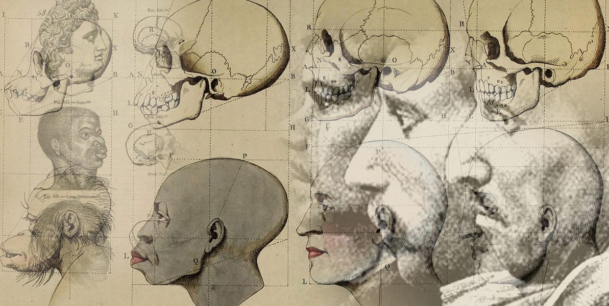 Race Realism: Refuting the World's Most Divisive Lie