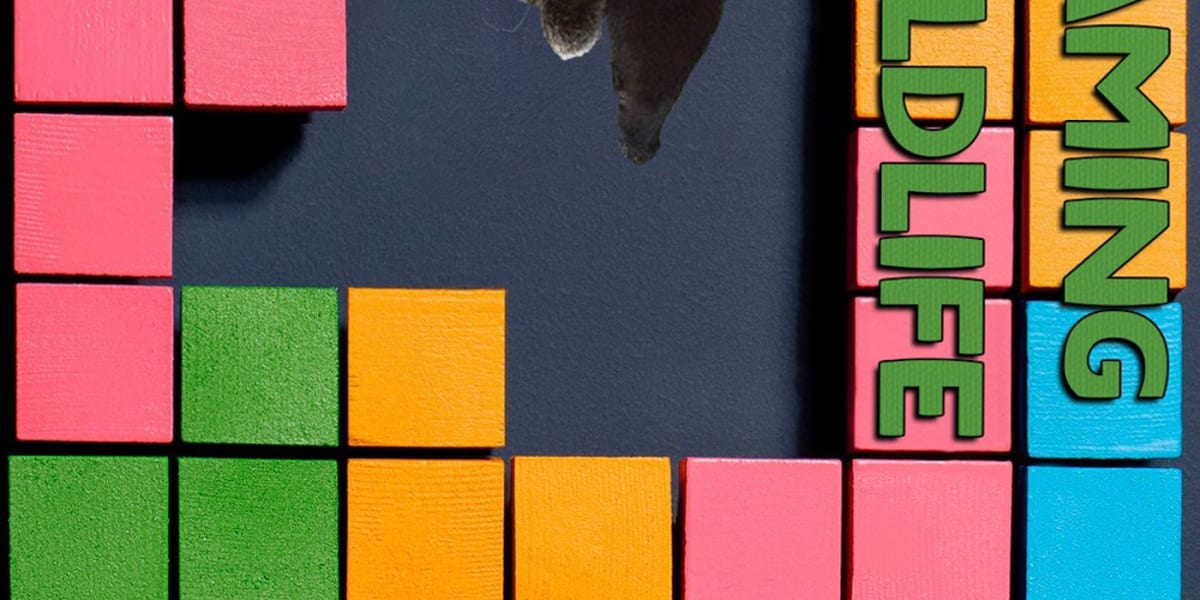 Gaming Wildlife #50 - Intervista a Bad Vices Games, creatori di ...