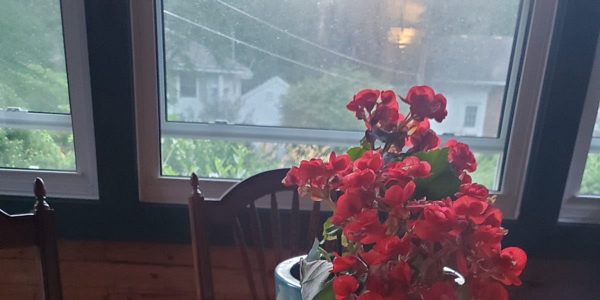 Moon Day things. - by Lydia Knox - Lydia’s Substack