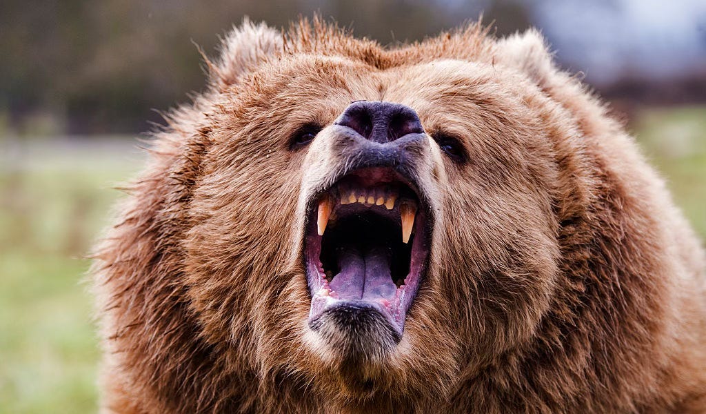 Comments - DOGE Staffer Attempting to Fire Park Ranger is Mauled by ...