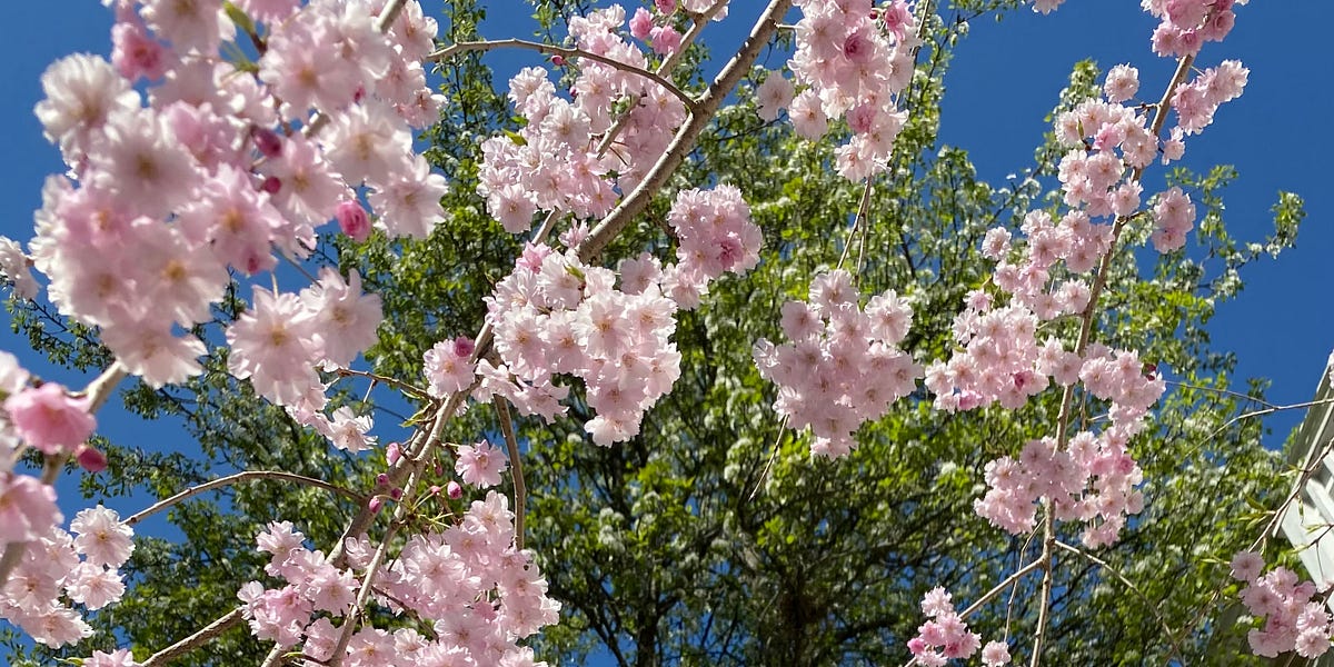 More Awakenings Please - by Arthur O’Shea