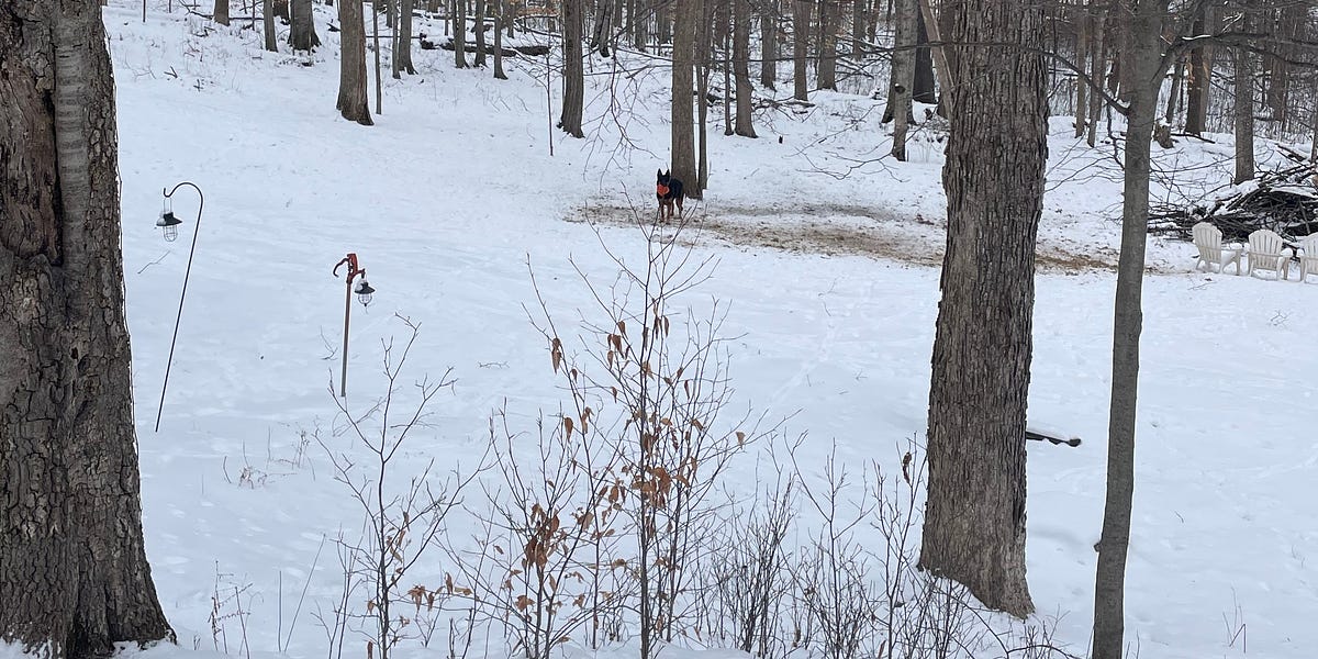 Winter journal - by J. F. Riordan