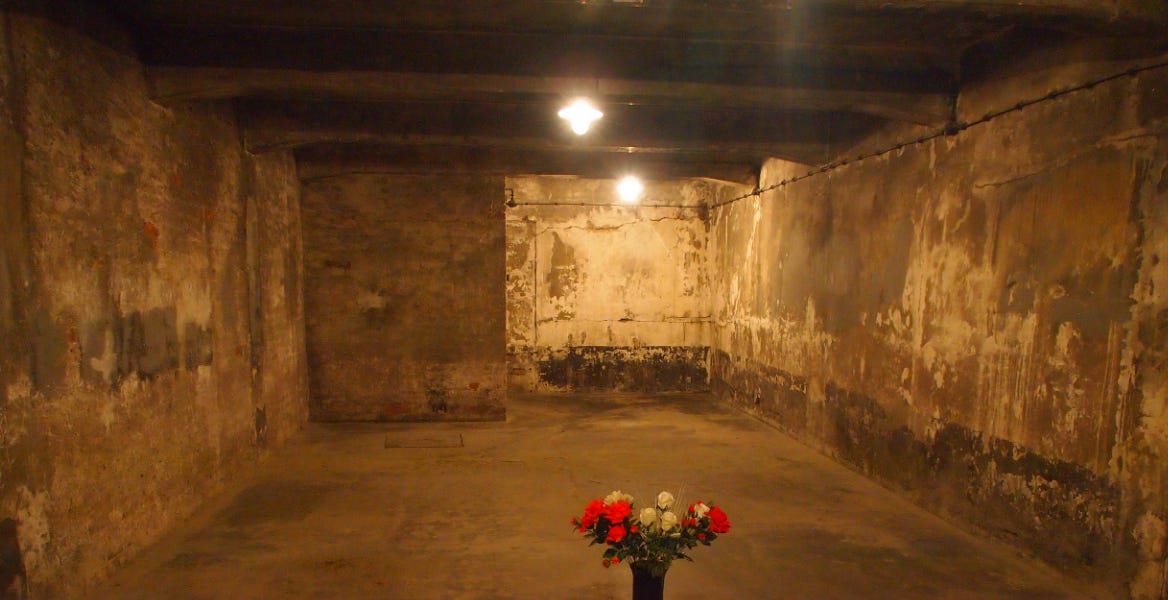 Remarkable Holocaust Nonsense #26: Soap and Towels in the Gas Chambers ...
