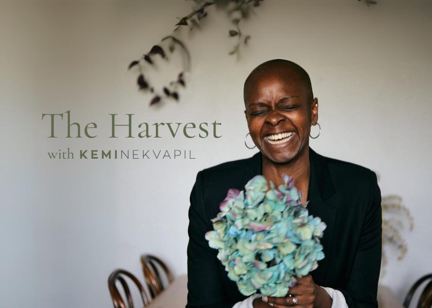 Planting The Seed - What does it the mean to do your best?