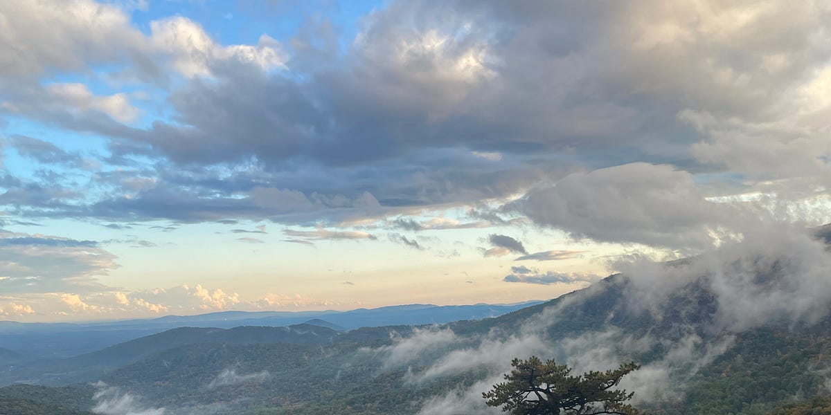 Golden Sunbeams - Homer + Trudy's Substack