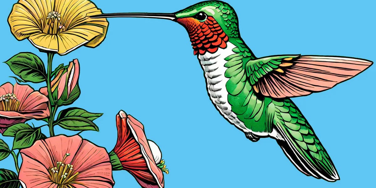 HIOG #8: Every Little Thing - A Chat with Hummingbird Rehabber Terry ...