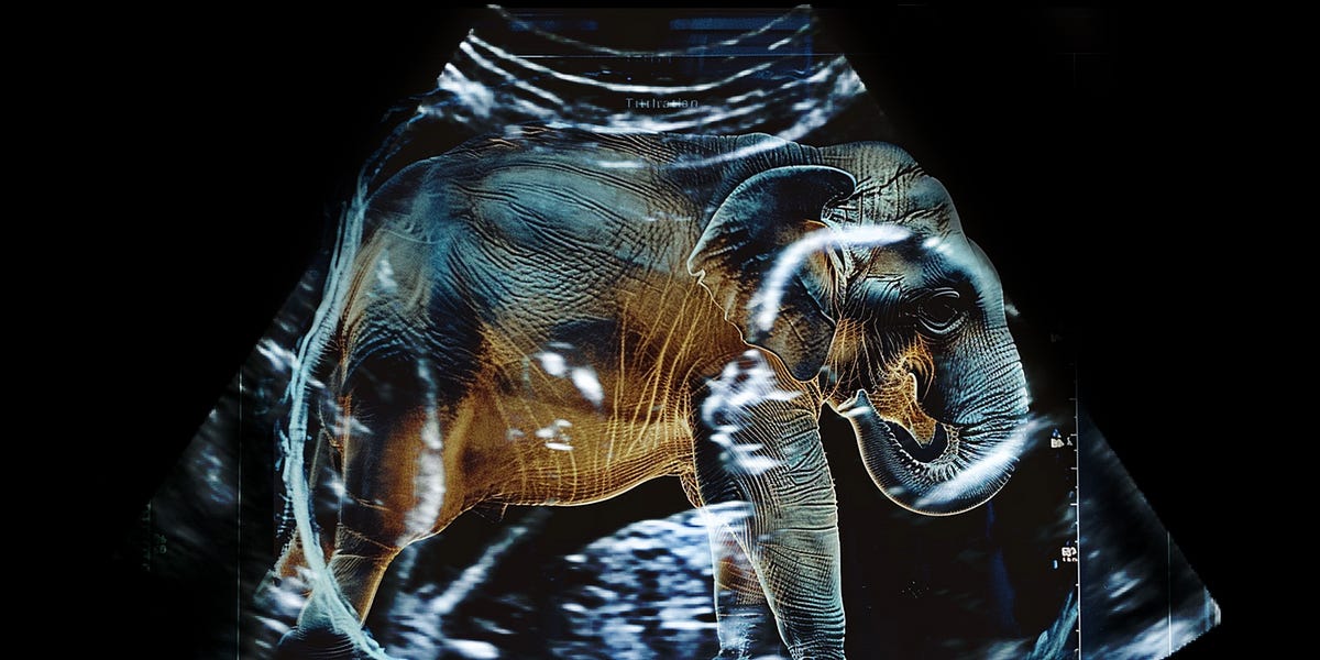 Abortion Change to RNC Platform Creates Rifts on Right Abortion Change to RNC Platform Creates Rifts on Right
