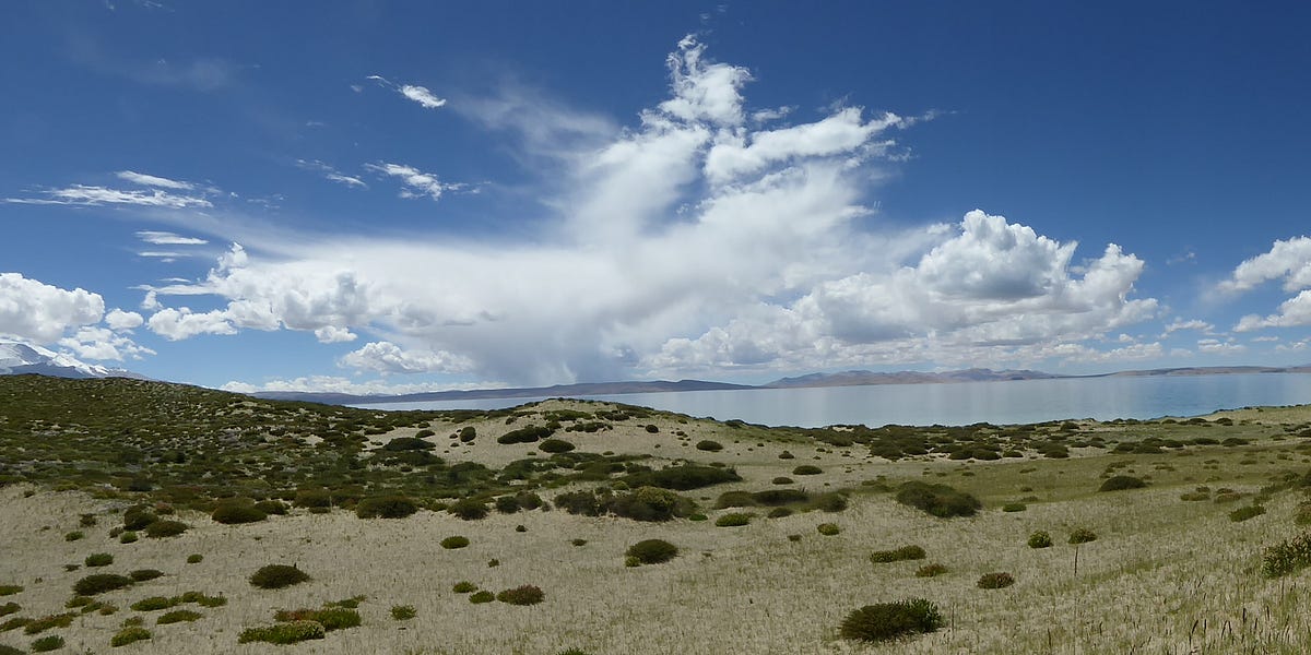 December Politburo meeting ahead of the Central Economic Work ...