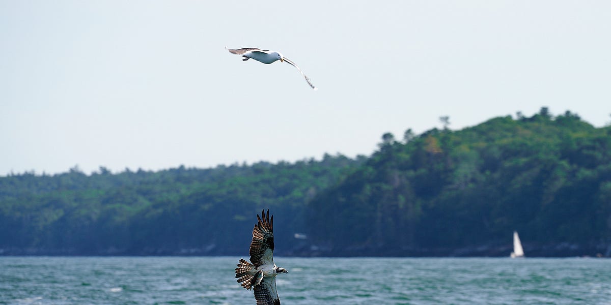 July 20, 2024 - by Heather Cox Richardson