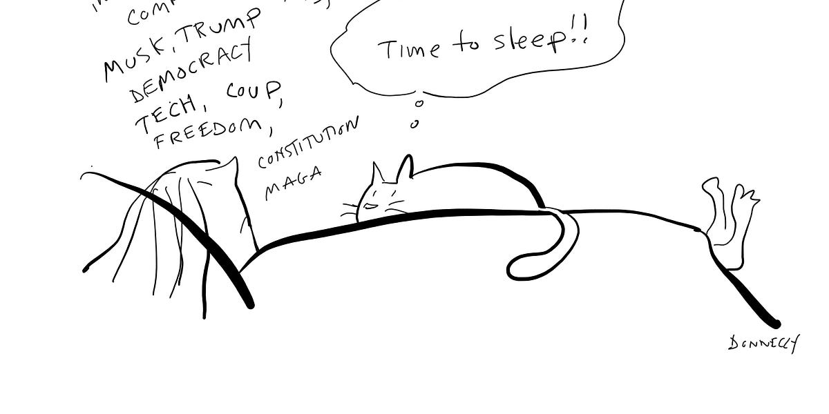 Musk's Actions - by Liza Donnelly - Seeing Things