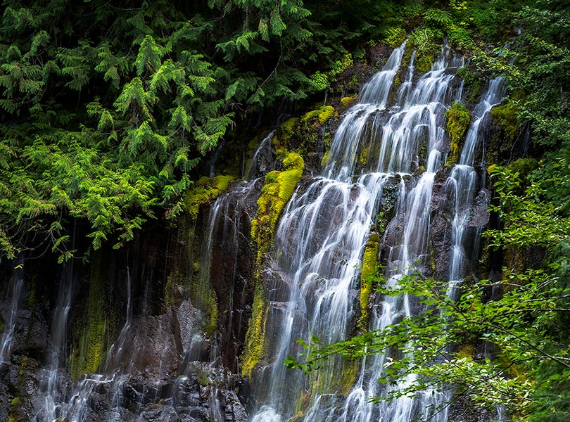 Fifties by the Fire ~ Rejuvenation - by Justin Deming