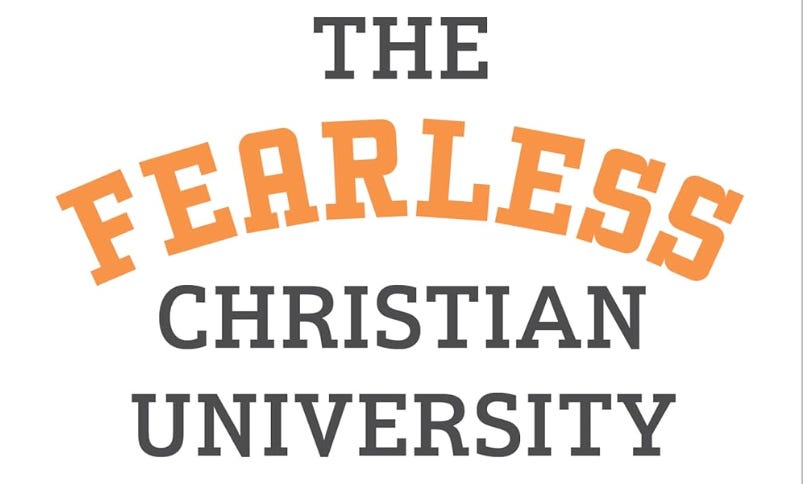 Fearless Christianity - by Scot McKnight
