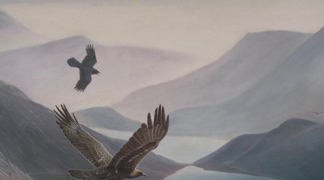 Do You Have A Blindspot In Your Healing Strategy?