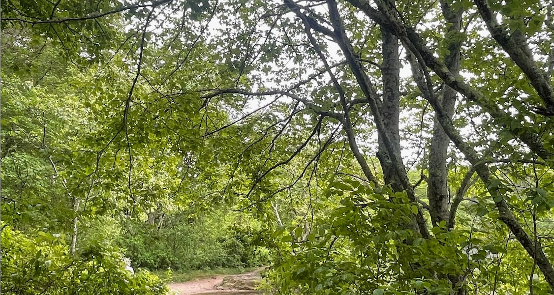 The theme is letting go - by Desdemona Smyth