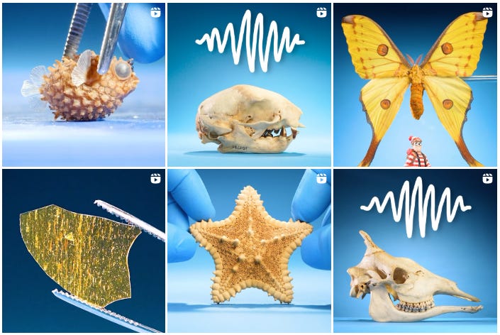 How to Build a Recognisable Brand Identity on Social Media