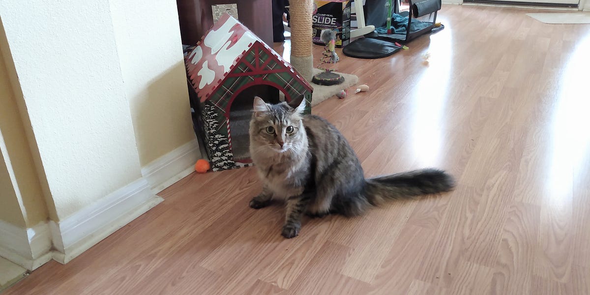 The Day With Dukee And Mia - by Pennie R. S. Nelson