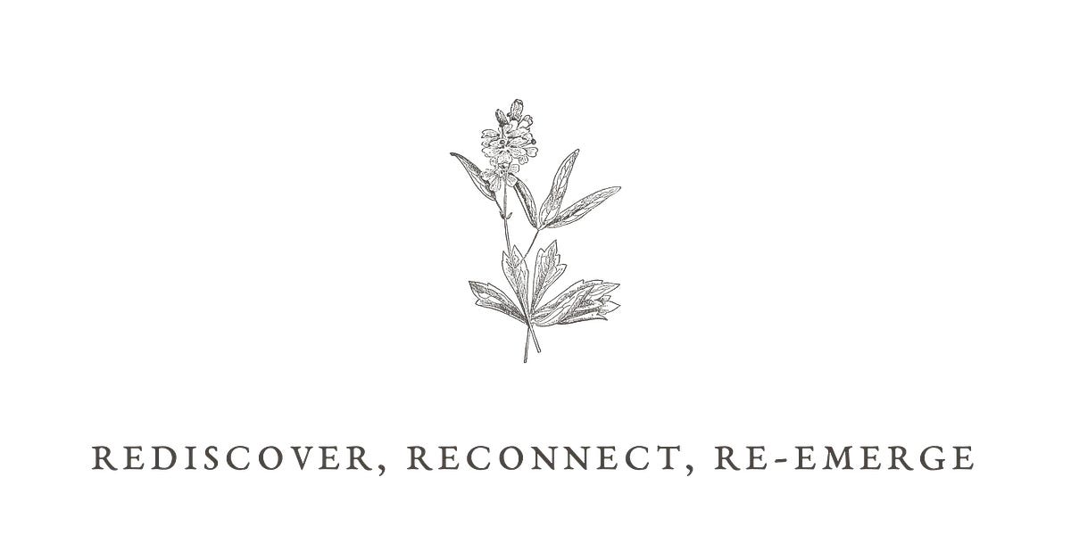 Quarterly Review | Q3 2024 - by David Barton