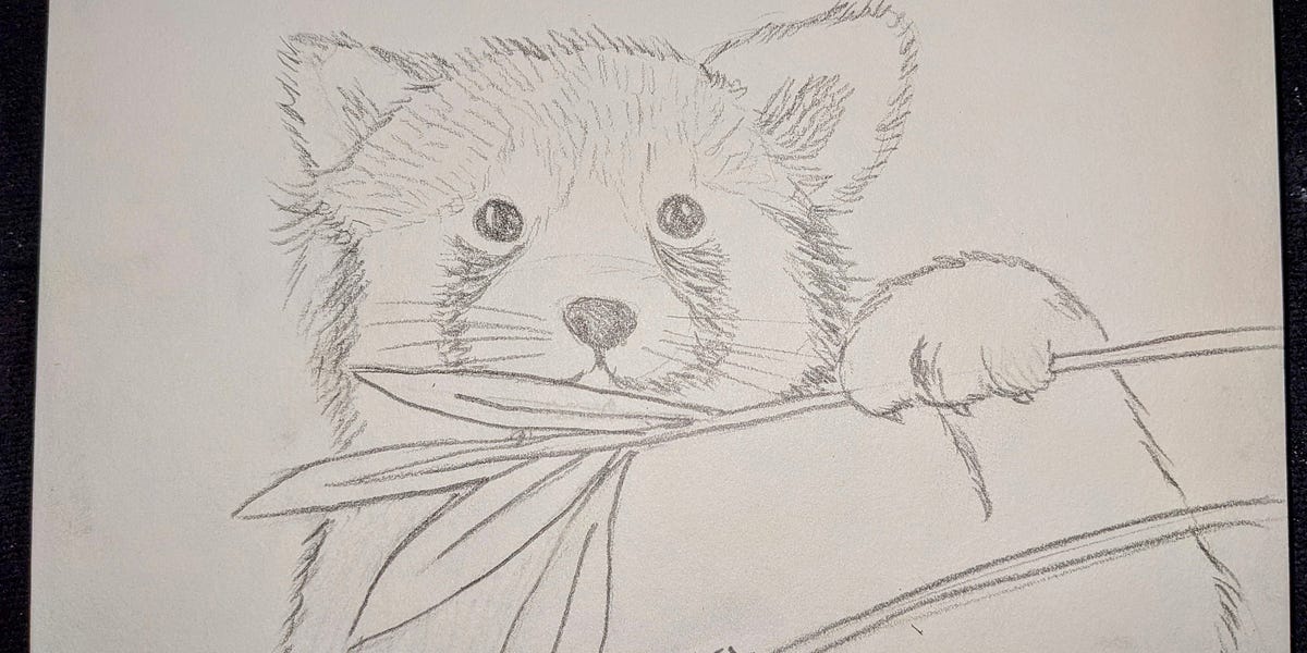 how to draw a red panda realistic