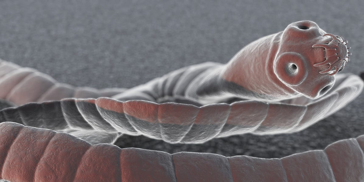 Ding Dong, the Wicked Woke is Dead! - by Michael Smith