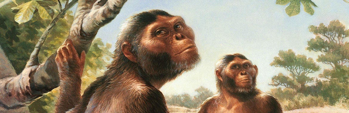 Did Australopithecus afarensis Run Like Modern Humans? New Insights ...