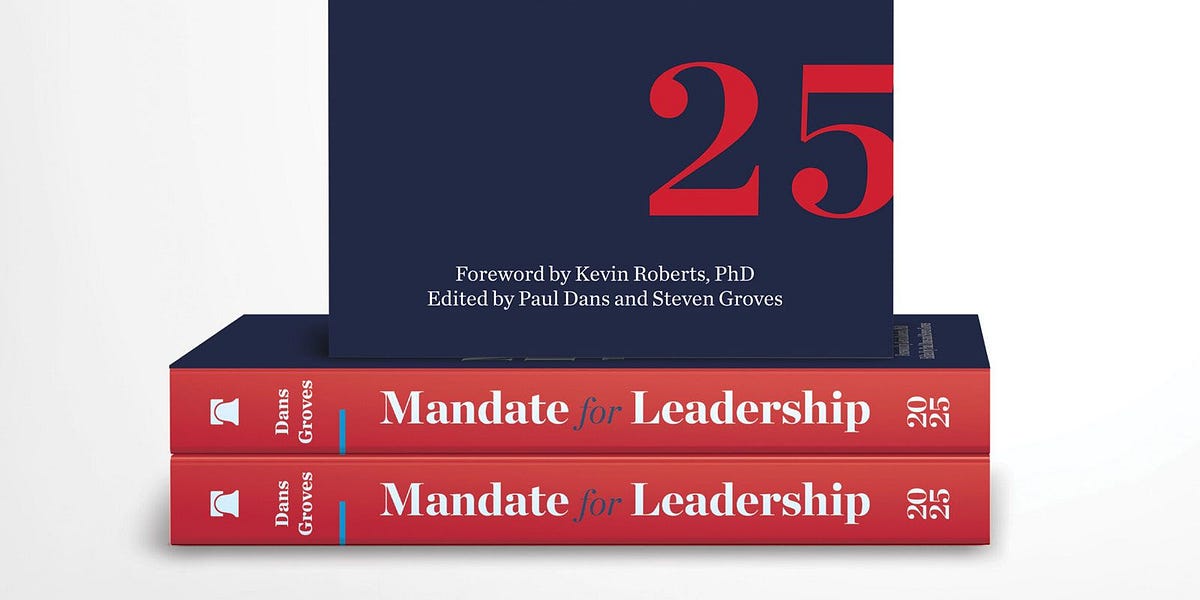 Project 2025 - 8. Media Agencies - by Ellie Leonard