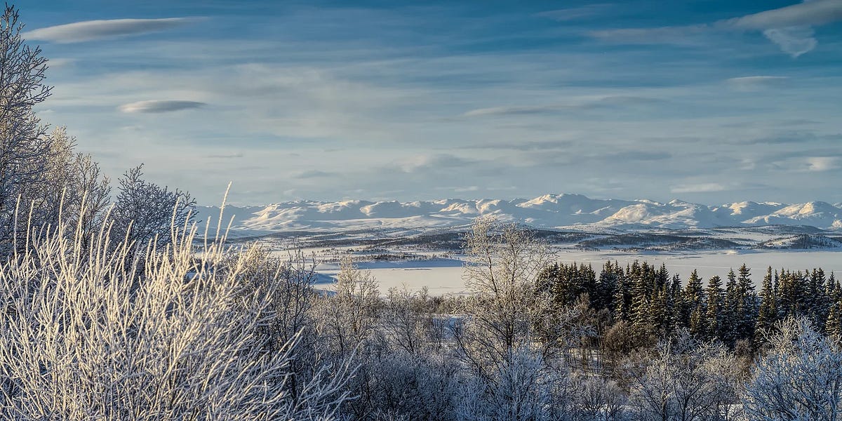 Exercise 2: verbless sentences, narrative voice. Writing an analysis.