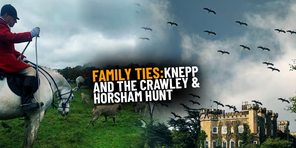 Shocking: Renowned Rewilding Knepp Estate hosts notorious hunt