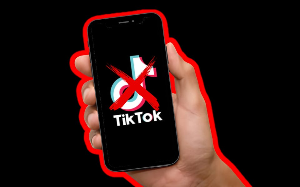 The Tik Tok ban will hurt small content creators- here's how you can help
