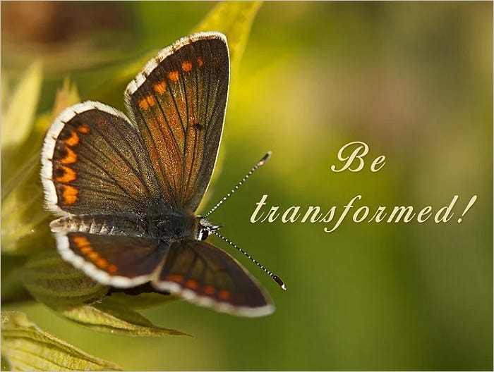 Your Fallen Nature Can't Be Trained - It Must Be Crucified