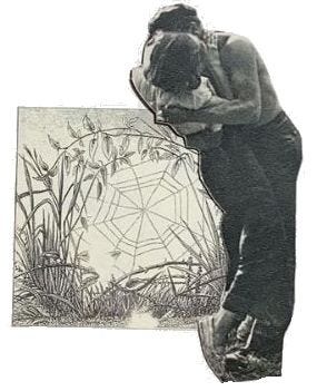 Reinventing and Reacquainting - The Repurposed Life