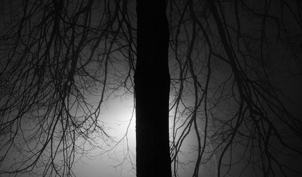 Longest Night 2024 - loscil news