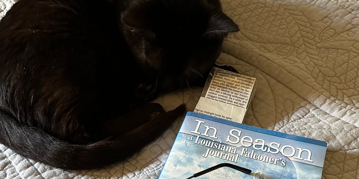 In Season: e3, Aug. 18 & 23 - by Matt Mullenix