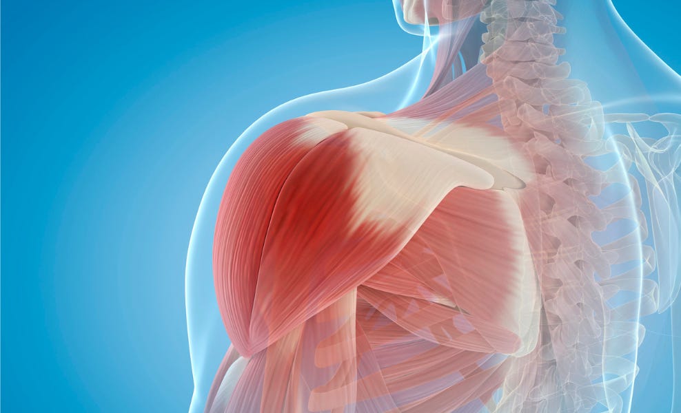360 Shoulders - by Carla DiGirolamo, MD - Athletic Aging
