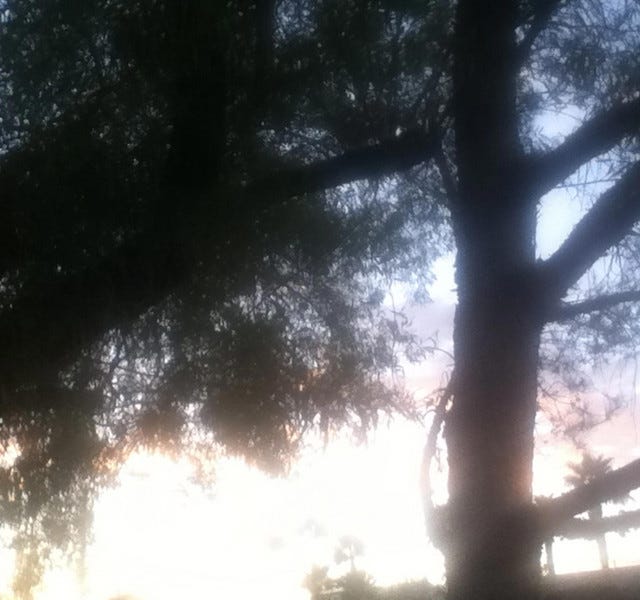 Validité et fiabilité d’une évaluation sommative