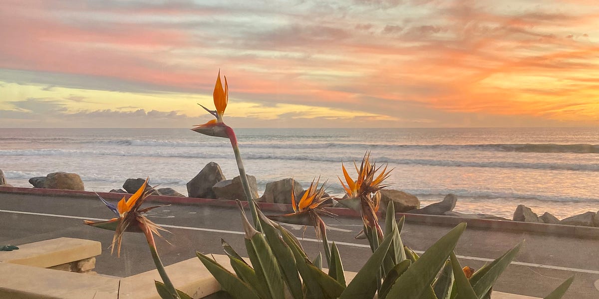 Bookends - by Rylie Shore - Wild Honey